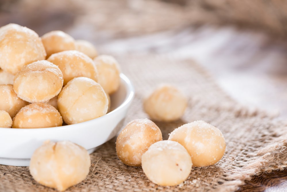 Macadamia - Can a Nut that’s 76% Fat Be Healthy? - Young and Raw