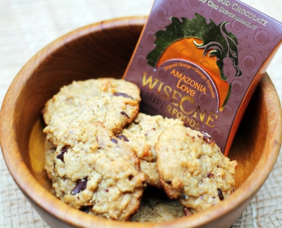Grain Free, Vegan, & Paleo WISE Chocolate Chip Cookies - Young and Raw